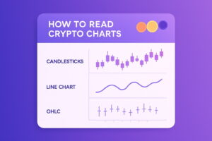 How to Read Crypto Charts: Beginners Intro | vTrader